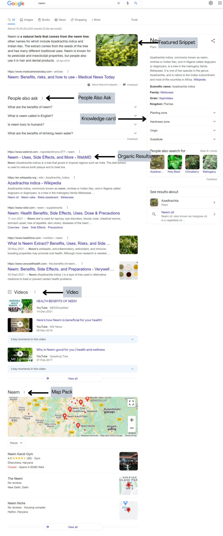 The Ultimate Guide to SERP (Search Engine Results Page)